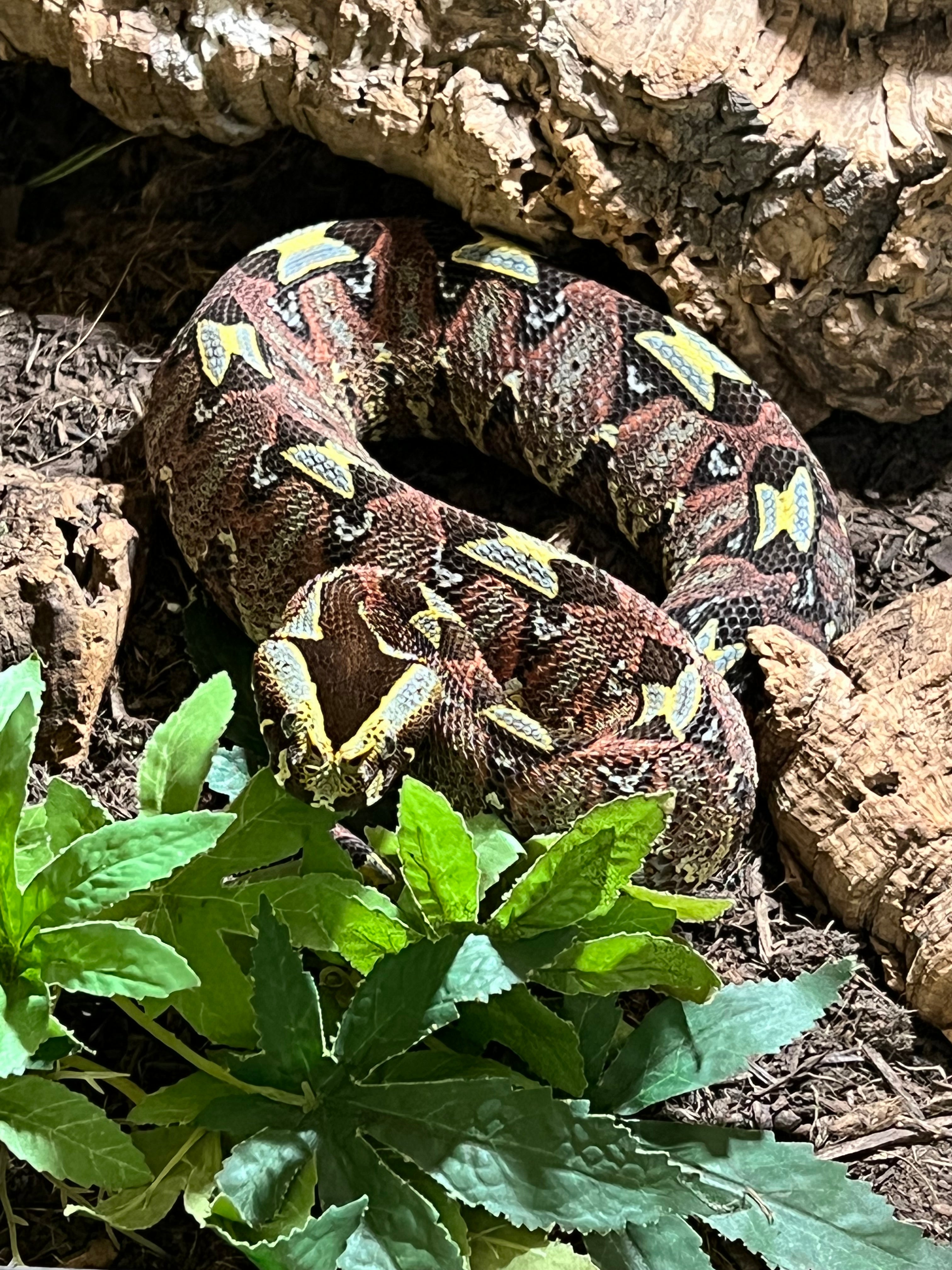 About Us – World of Exotics