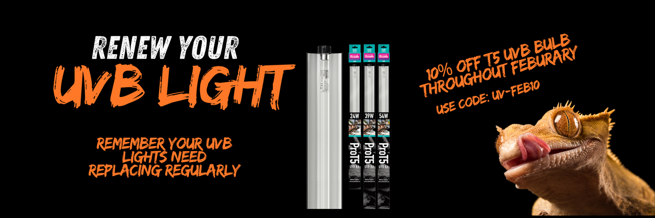 World of Exotics | #1 Store for exotic animals in North West England