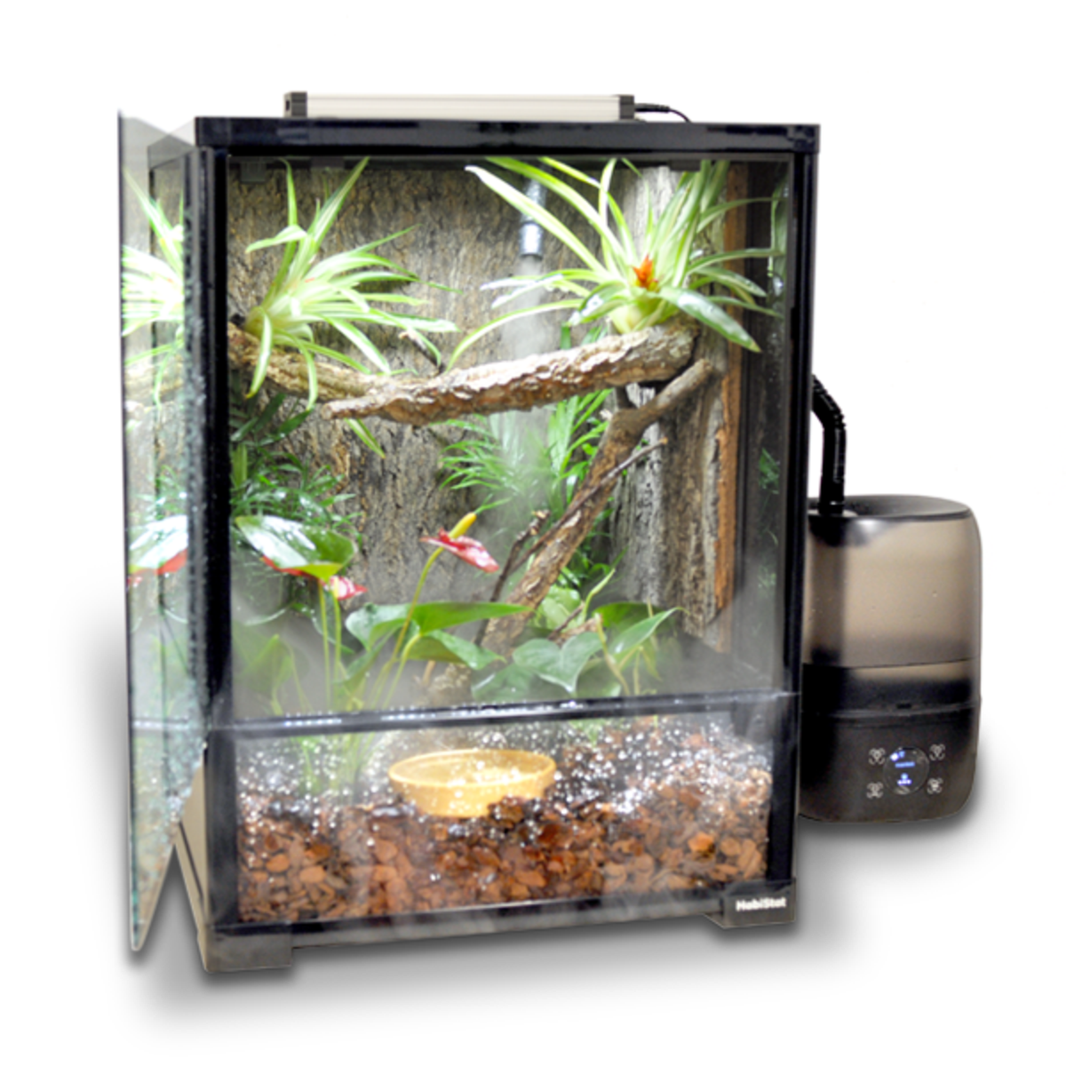 World of Exotics | #1 Store for exotic animals in North West England