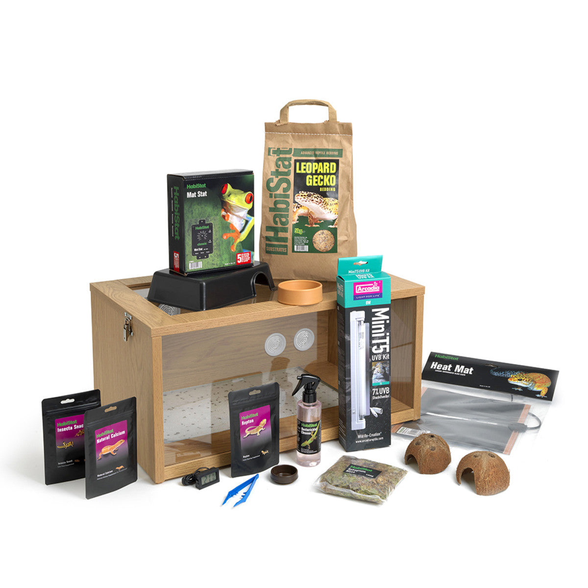 Leopard Gecko - Starter Kit – World of Exotics