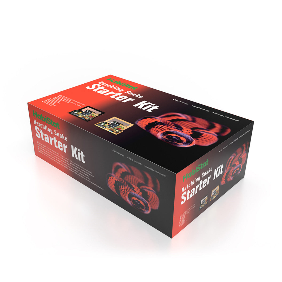 Hatchling Snake - Starter Kit – World of Exotics